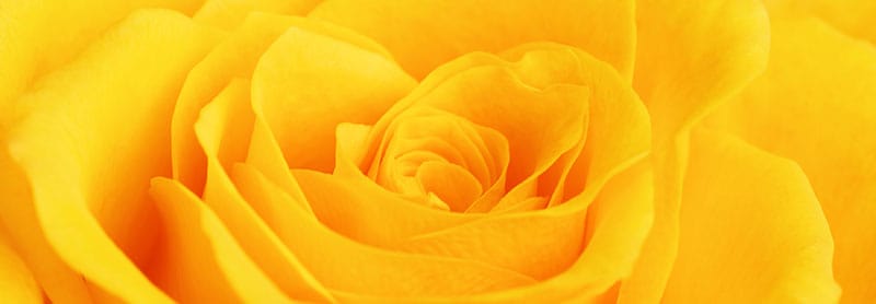 Tribute Writing » Alison Vallance » Thoughtful Ceremonies